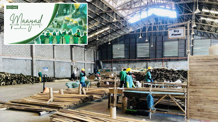 PROJECT WATCH: US-based firm to put up $100-M engineered bamboo ...